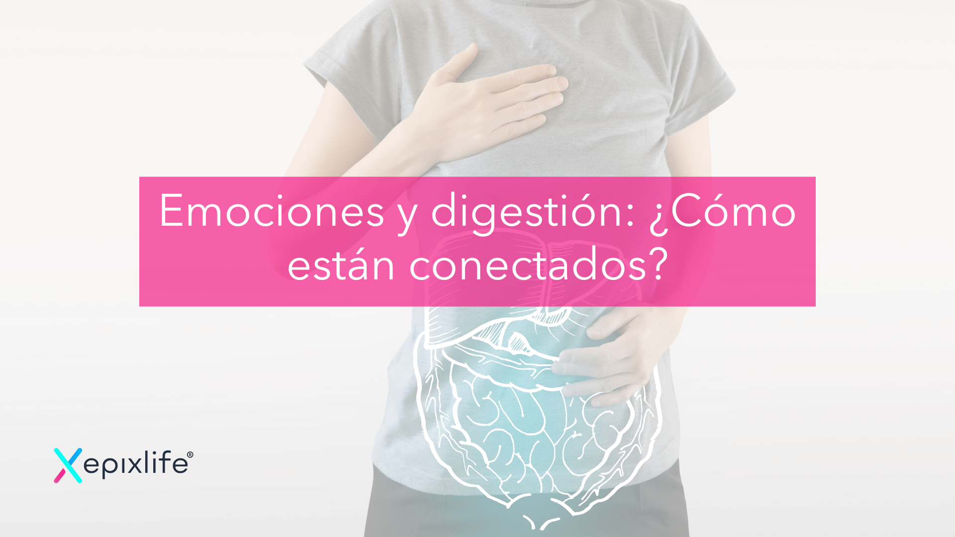 Emotions and digestion: How are They Connected? - Epixlife | Wellness ...